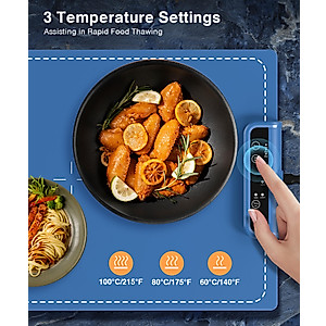 Electric Warming Tray - Full Surface Heating,Rollable & Portable - 3 Temperature Settings & Fast Heating，Food Warmer Rolling Silicone Mat for Gatherings,Parties, Buffet,Everyday Use (Blue)
