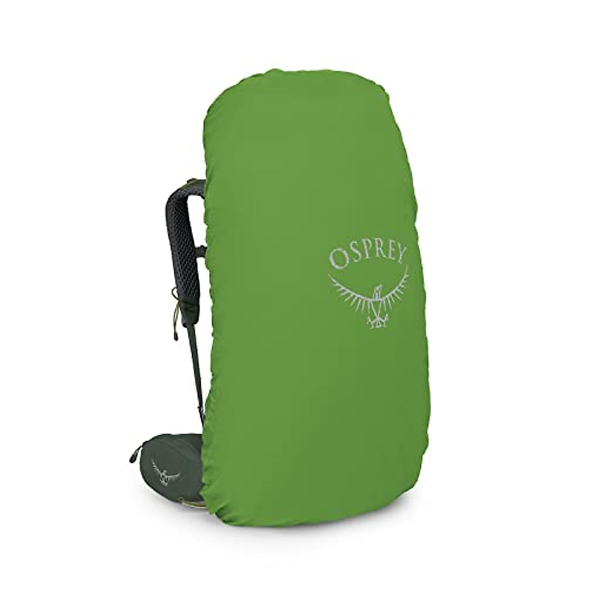 Osprey Kestrel 68L Men's Backpacking Backpack, Bonsai Green, L/XL