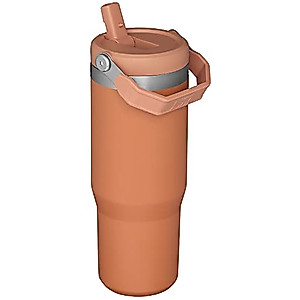 Stanley IceFlow Stainless Steel Tumbler with Straw - Vacuum Insulated Water Bottle for Home, Office or Car - Reusable Cup with Straw Leakproof Flip - Cold for 12 Hours or Iced for 2 Days (Ochre)