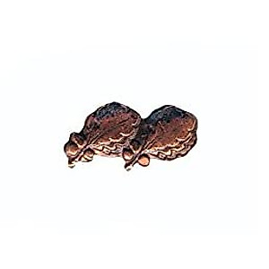 2 Oak Leaf Cluster 5/16" Bronze Ribbon Device