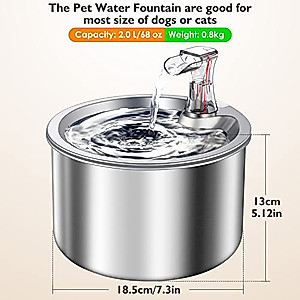 OASTRO Cat Water Fountain Stainless Steel, 68oz/2L Ultra Quiet Dog Water Bowl Indoor Pet Water Dispenser with Filters for Cats, Dogs, Multiple Pets