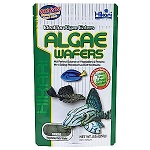 Hikari Usa Inc AHK21328 tropical Algae Wafer 8.8-Ounce