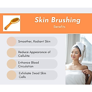 Natural Boar Bristle Body Brush Wooden Handle by Spa Destinations Dry Brush and Wet Brush 2 Pk Exfoliating Scrubber for Flawless Skin, Cellulite Treatment, Lymphatic and Blood Circulation