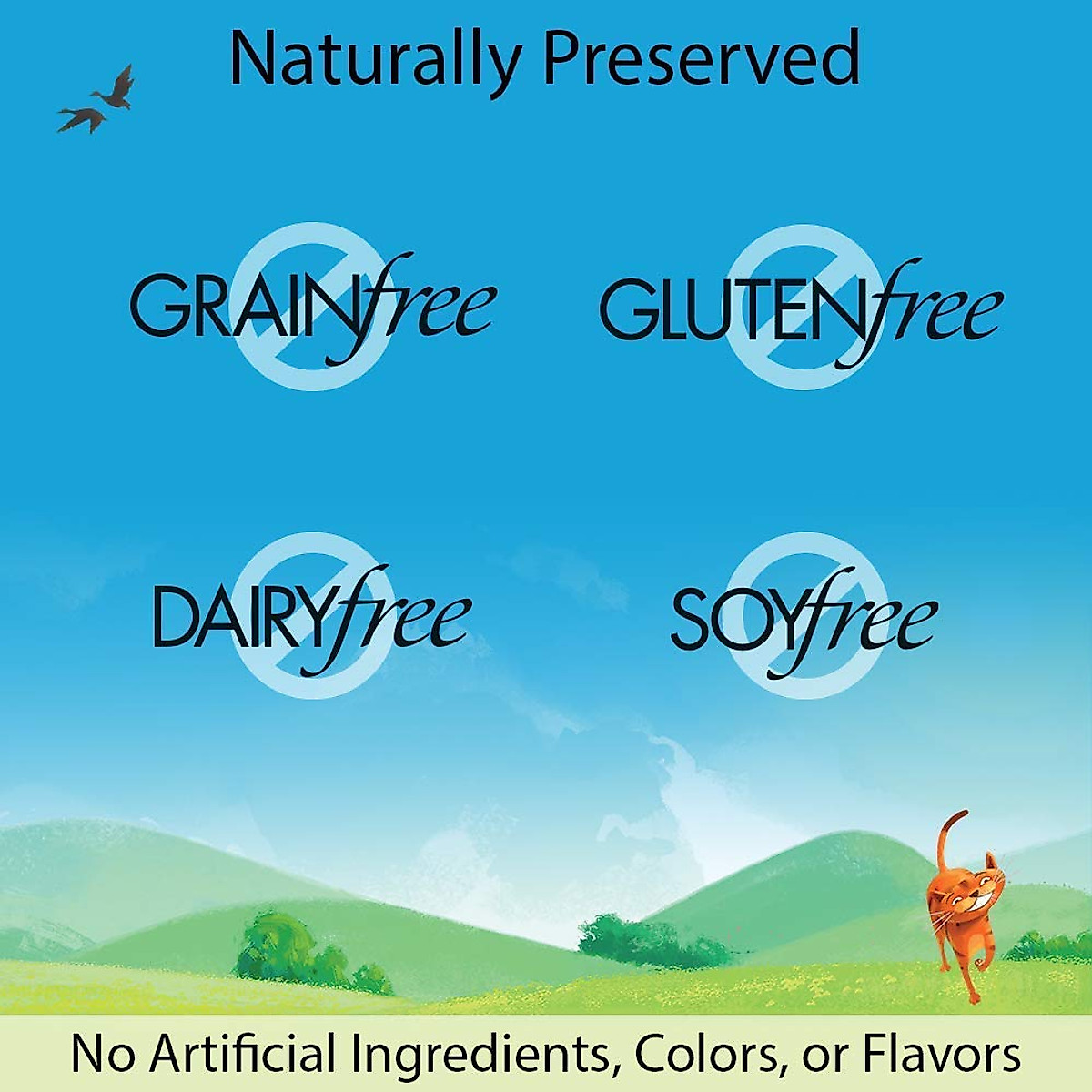 Emerald Pet 6 Pack of Catnip Feline Dental Treats, 3 Ounces Each, Grain-Free Cat Treats Made in The USA