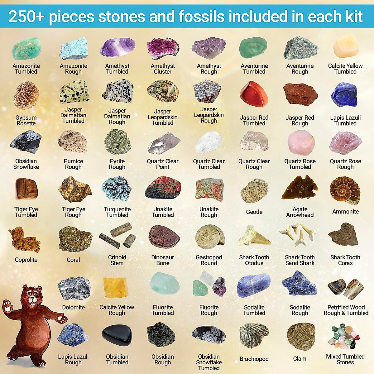 DANCING BEAR Rock, Mineral & Geodes Treasure Hunt Activity Kit (250 Pc Set) Real Shark Teeth Fossils, ID Sheet & Rock Book, STEM