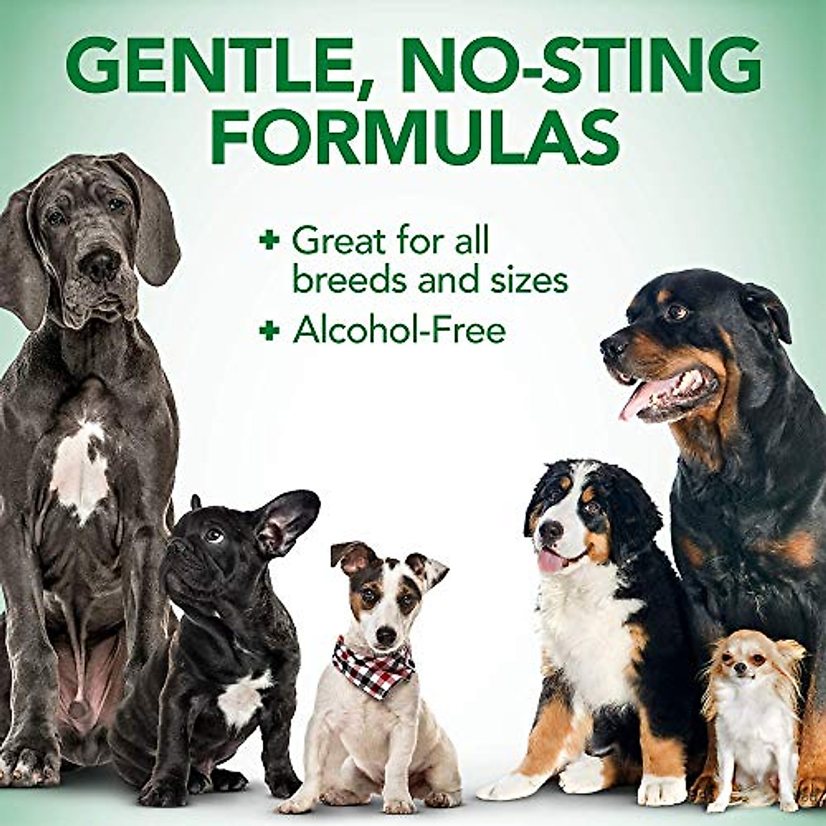 Vet's Best Allergy Itch Relief Spray for Dogs | Soothes Dog Dry Skin | Relieves The Urge to Itch, Lick, and Scratch | 8 Ounces
