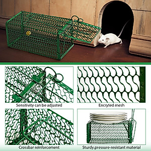 Qualirey 4 Pcs Humane Rat Trap Chipmunk Squirrel Cage Trap Foldable Rodent Trap for Small Live Animal Voles Hamsters Cage Catch and Release for Kitchen Yard Garage Indoors Outdoors (Green)