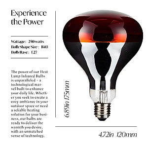 TOPHORT 2 Pack Heat Lamp Bulb R40/250 Watts, Red Heat Lamps Outdoor Bulbs for Pets Flood Light Bulb for Chickens Infrared Reflector,E26 Base(250W, Red)