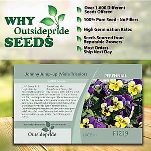 Outsidepride Viola Johnny Jump Up Wild Flowers & Ground Cover Plants - 5000 Seeds