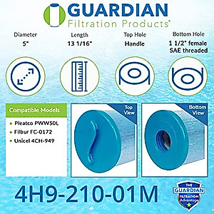 Guardian Filtration Products Pool Spa Filter - Replaces Unicel 4CH-949 Filbur FC-0172 Pleatco PWW50L - Waterway Dynasty Rising Dragon