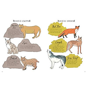 Nature Anatomy: The Curious Parts and Pieces of the Natural World