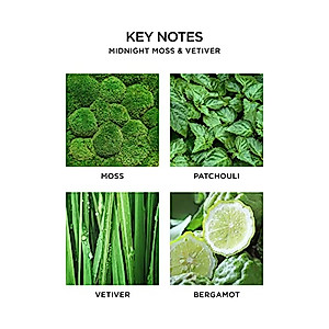 NEST Fragrances Midnight Moss & Vetiver Scented Classic, Long-Lasting Candle for Home, 8.1 oz, 8 Oz