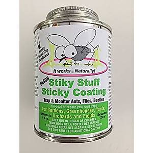 Olson Sticky Stuff Brush On Insect Trap Coating 8oz. with Brush Cap