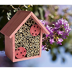 Rose Pink and Green Mason Bee House for The Garden Bundle - Lifetime Replacement Guarantee