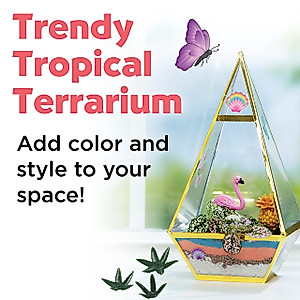Creativity for Kids Tropical Terrarium Craft Kit - Kids Terrarium Kit for Ages 7+, STEAM Activity
