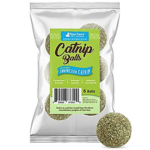 Raw Paws Natural Catnip Ball for Cats (6-ct) - Interactive Cat Toy for Indoor Cats - Cat Ball Toy - Kitten Toys - Cat Nip Ball Cat Toy - Cat Lick Ball - Cat Nip Cat Toys Balls - Catnip Ball Toy