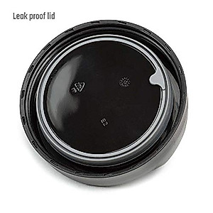 Goodful Vacuum Sealed Insulated Food Jar with Handle Lid, Stainless Steel Thermos, Lunch Container, 16 Oz, Sage