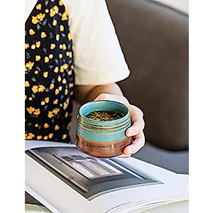 TANG PIN Handcrafted Ceramic Tea Cups Chinese Kung Fu Tea Cup Set of 2, Coffee Mugs for Cappuccino, Ceramic Sake Cups, 6 OZ (Blue & Pink)