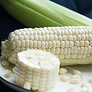 150+6Mix Corn Seeds for Planting Vegetables and Fruits,Glass Gem Corn Seeds ,Heirloom Seeds Non GMO Organic Garden Seeds