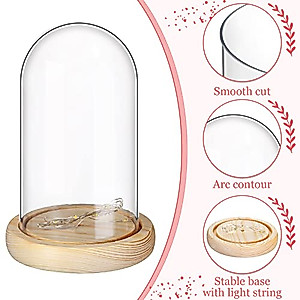 Remerry 6 Pieces Plastic Cloche Dome Plastic Dome Display Case with Rustic Wood Base and LED Fairy Light Jar for Rose Valentine's Day Wedding Tabletop Centerpiece Decoration, 6.5 x 3.7 Inch