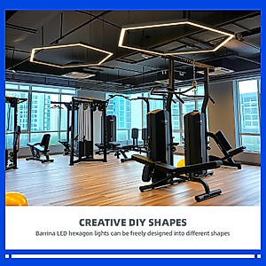 Barrina LED Hexagon Light, DIY Linear Light, Dimmable Hanging Shop Light, 2700K 4000K 5000K Color Changing, Linkable Office Light Fixtures, Seamless Connection, 5568-0-10V Series