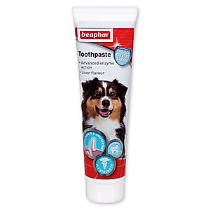 Beaphar Toothpaste for Dogs and Cats, 100g