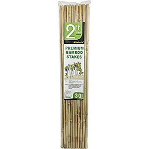 Mininfa Natural Bamboo Stakes 2 Feet, Eco-Friendly Garden Stakes, Plant Stakes Supports Climbing for Tomatoes, Trees, Beans, 30 Pack