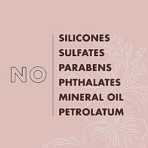 SheaMoisture Coconut and Hibiscus Curl & Shine Conditioner with Silk Protein & Neem Oil 13 oz - Thick, Wavy & Curly Hair - Value Double Pack - Qty of 2