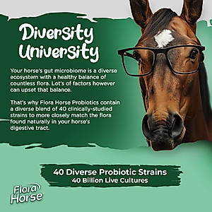 Vital Planet - Flora Horse Probiotic, High Potency Equine Probiotics with Prebiotics, 40 Billion Live CFU from Multiple Strains, Digestive and Immune Support, 180 Delayed Release Capsules (180 Days)