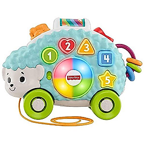 Fisher-Price GHR16 Linkimals Happy Shapes Hedgehog, Interactive Baby Toy with Lights and Sounds