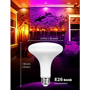 JandCase BR30 Halloween Light Bulbs, E26 Base Halloween Purple & Orange Indoor Flood Light Bulbs, Orange Purple Flood Light Bulbs for Halloween Decoration,11W(65W Equivalent),Not-Dimmable, 2 Pack