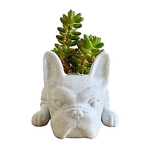 F/A Resin Dog Succulent Planter Animal Succulent Plant Pots French Bulldog Shape Cute Bonsai Flower Pots for Plants Flower Cactus (No Plants)