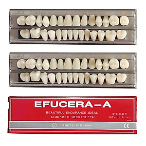 RZJZGZ Synthetic Resin Tooth Denture False Teeth for Halloween Horror Teeth 23 A3(56 Pcs/2Set)