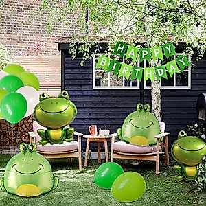 LaVenty Frog Birthday Decoration Frog Balloon Frog Birthday Party Supplies Reptile Birthday Party Decorations Frog Princess Party Decoration Garden Birthday Decoration