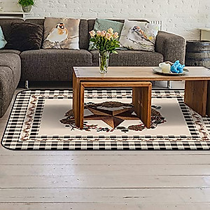 Non-Slip Area Rugs with Rubber Backing Throw Rugs Runner Farmhouse Country Star and Primitive Berries On Retro Black Plaid Non-slip Soft Cozy Carpets for Floor, Entryway, Nursery48x72 Inch