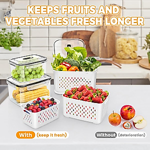 Loyala 3 PCS Fruit Containers for Fridge Food Storage Containers with Removable Colander Lids Airtight Fruit Storage Containers for Fridge Fruits Vegetables Strawberry Salad Meat（3pcs with handles）