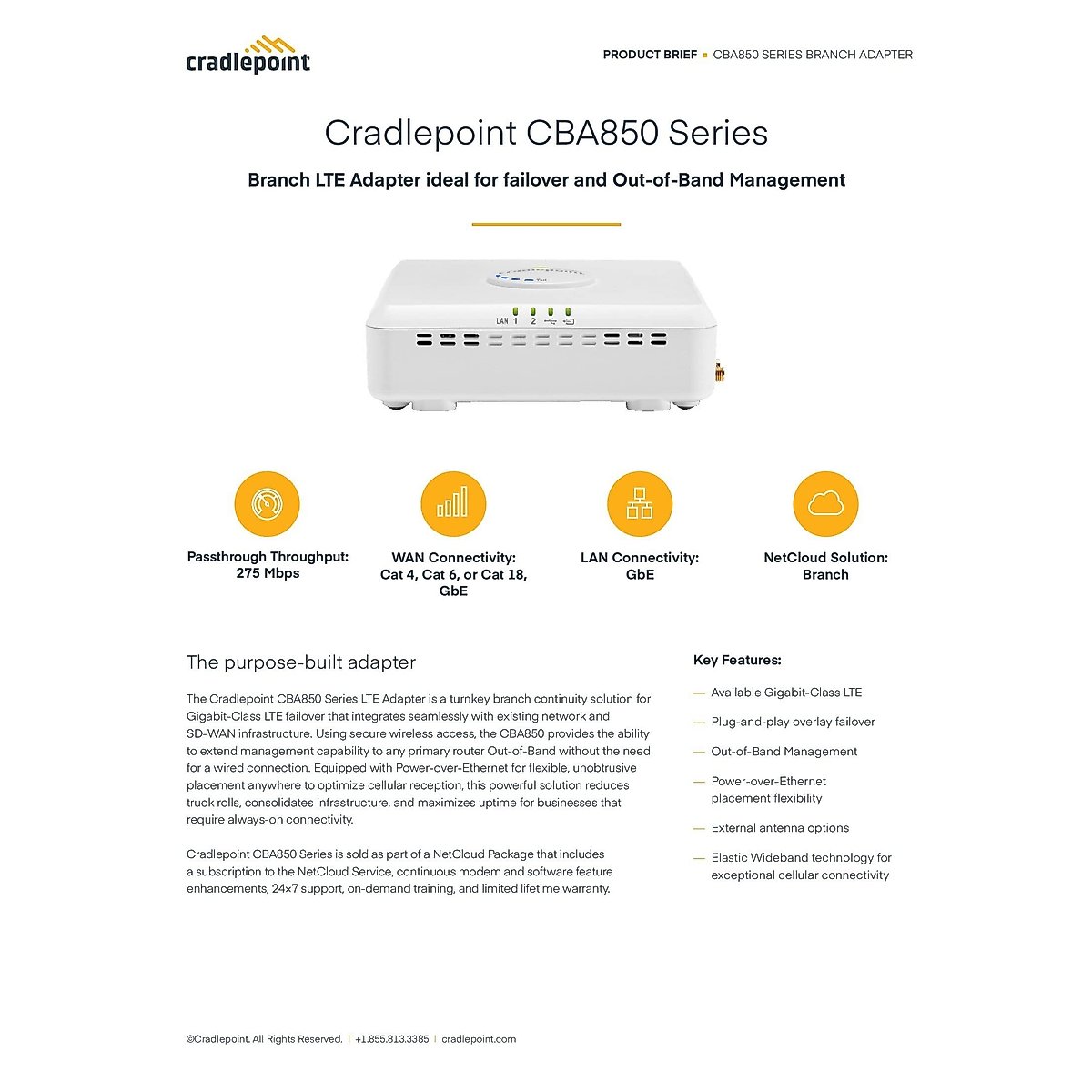 1-yr NetCloud Essentials for Branch LTE Adapters with Support and CBA850 Adapter (LP6 Modem)