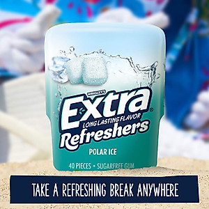 Extra Refreshers, Polar Ice Chewing Gum, 40 Count,Pack of 4