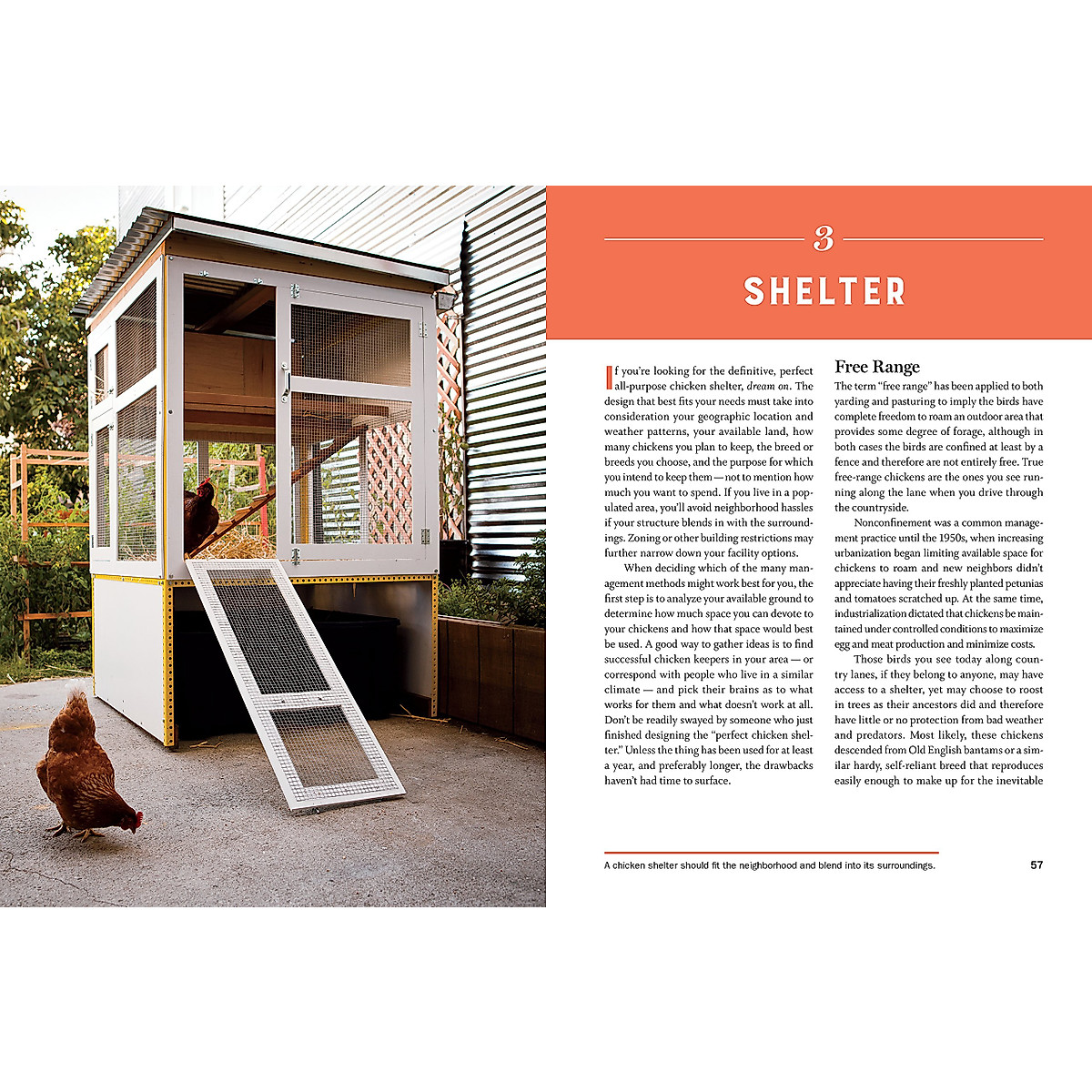 Storey's Guide to Raising Chickens, 4th Edition: Breed Selection, Facilities, Feeding, Health Care, Managing Layers & Meat Birds