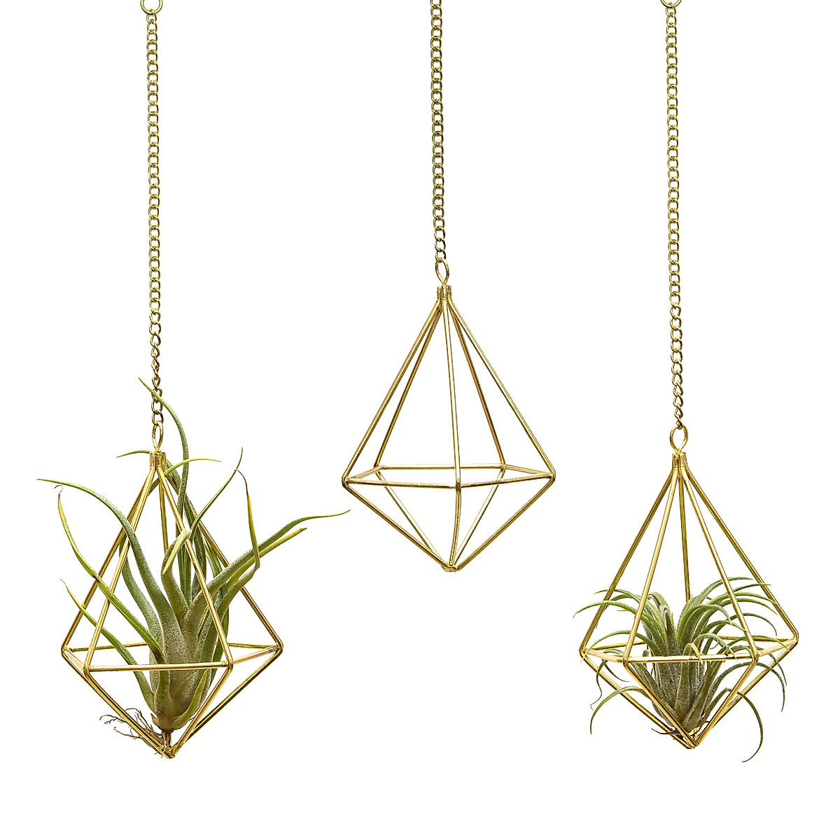Geometric Hanging Tillandsia Holder Gold Metal Air Plants Holders Hanging for House Decor Living Room,Small Plant Holders Indoor Hanging,Plant Lover Gifts (5Pcs)