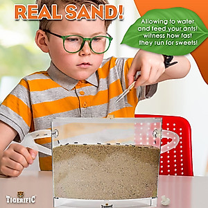 Tigerific Ant Farm for Live Ants - Real Sand Ant Colony Kit for Kids -Fun Science Habitat Set for Children, Watch Ants Dig Tunnels, Carry Sand, Hide and Drag Their Food