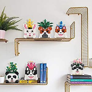 DOLBLOCK Succulent Bonsai Botanical Collection Decor Building Set Architecture Model Kit with Flower Plant Animal for Adults Creative DIY Gifts Toys