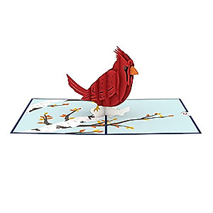 Lovepop Cardinal Pop Up Card, 5x7-3D Greeting Card, Animal Card for Every Occasion - Birthday, Sympathy, Anniversary, Thinking of You