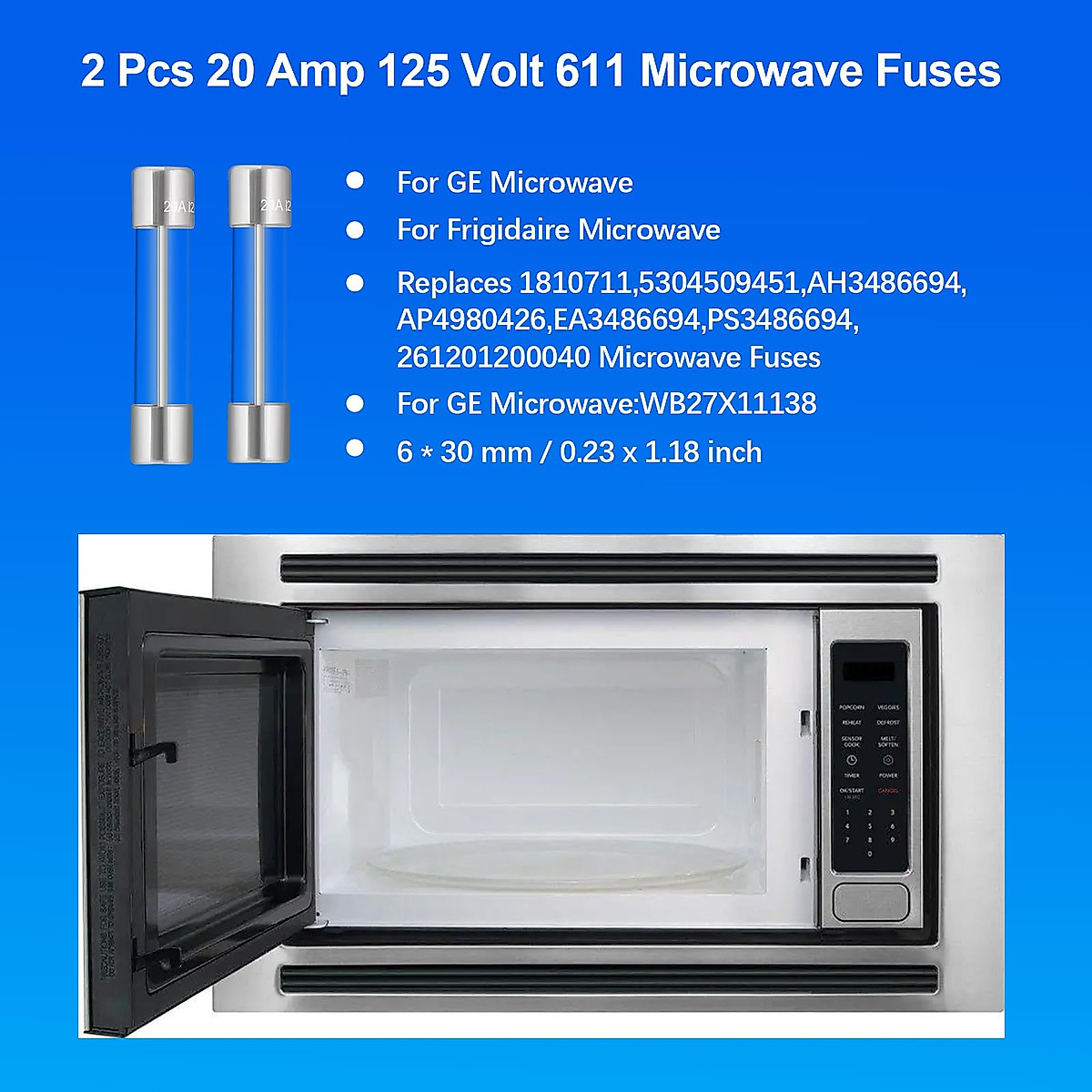 2 Pcs 5304509451 Microwave Fuses 20a 125v for Frigidaire Microwaves,Applicable for GE WB27X11138 WB27X10388 PS5136235 00469295 30469294 50462164 PS5136235 AP5648907 Microwaves Oven Fuse 6x30mm