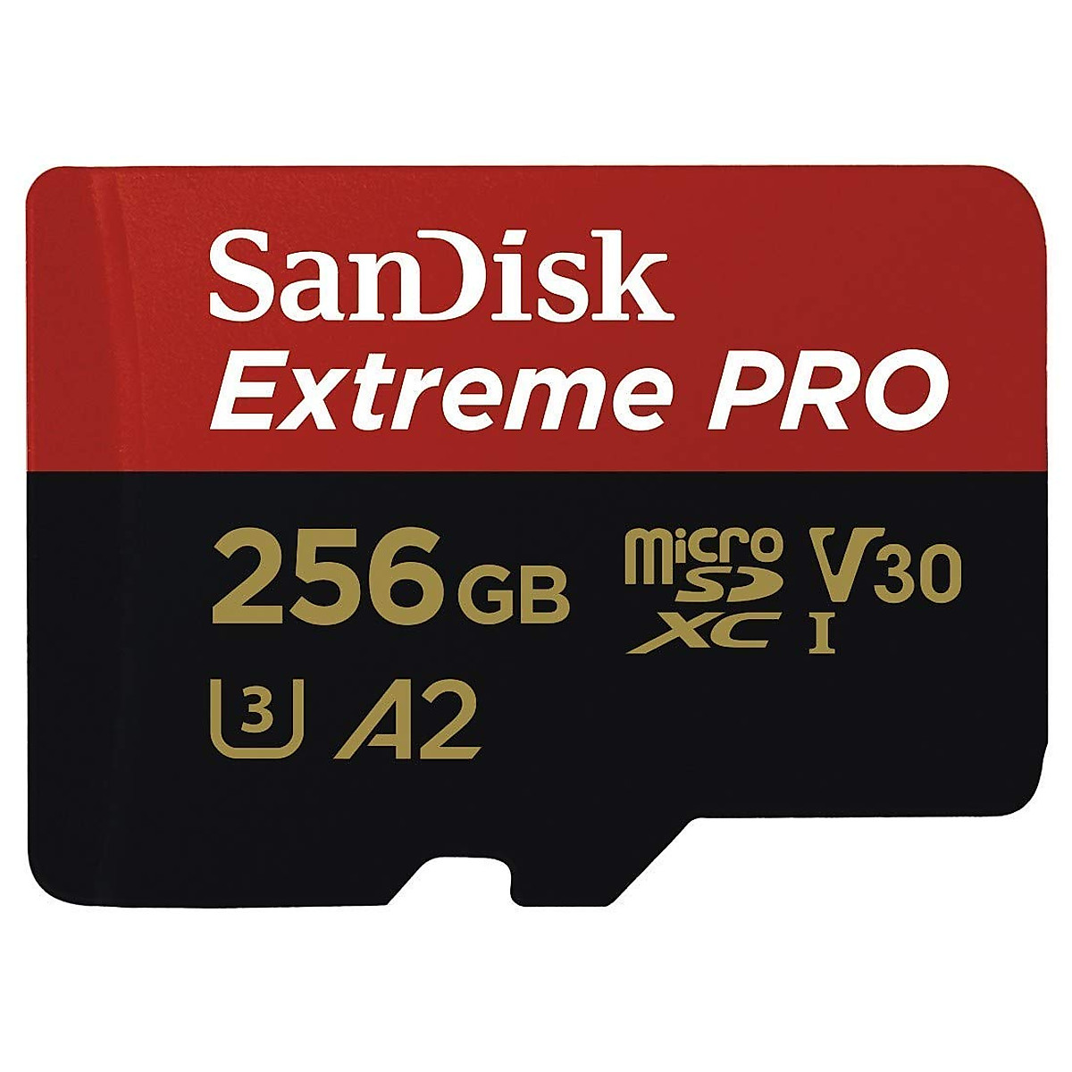 SanDisk 256GB Extreme Pro Micro SD Memory Card for GoPro Hero 10 Black Camera Hero10 UHS-1 U3 / V30 A2 4K Class 10 (SDSQXCZ-256G-GN6MA) Bundle with 1 Everything But Stromboli SDXC & Micro Card Reader