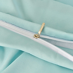 Colourful Snail Duvet Cover 2 Piece Set, Ultra Soft Double Brushed Microfiber Comforter Cover with Zipper Closure and Corner Ties, Twin, Light Blue (Comforter Not Included)