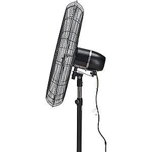 Global Industrial Outdoor Oscillating Pedestal Fan, 30" Diameter, 3/10HP, 8400CFM