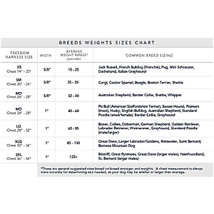 2 Hounds Design Freedom No Pull Dog Harness | Comfortable Control for Easy Walking |Adjustable Dog Harness and Leash Set | Small, Medium & Large Dogs | Made in USA | Solid Colors | 1" LG Black