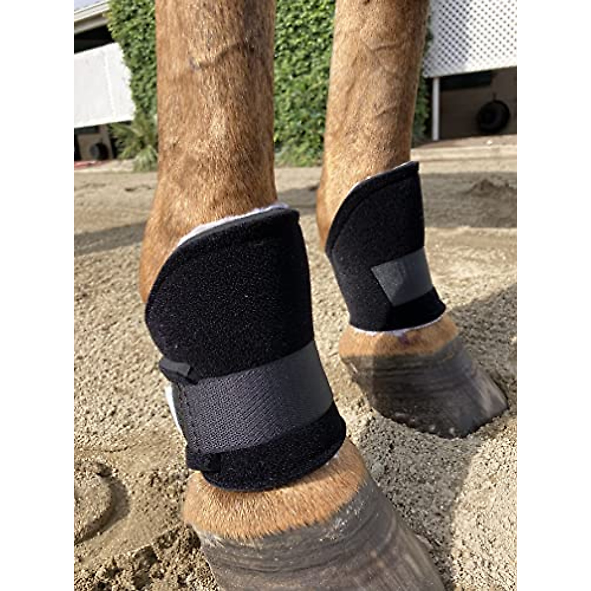 Horse Bedsore Boots with Soft Synthetic Sheepskin Lining, Providing Comfort and Protection Against Pressure sores. Aids in Healing. Veterinarian Approved.
