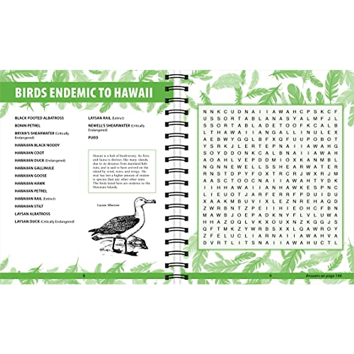 Brain Games - Birds Word Search Puzzles